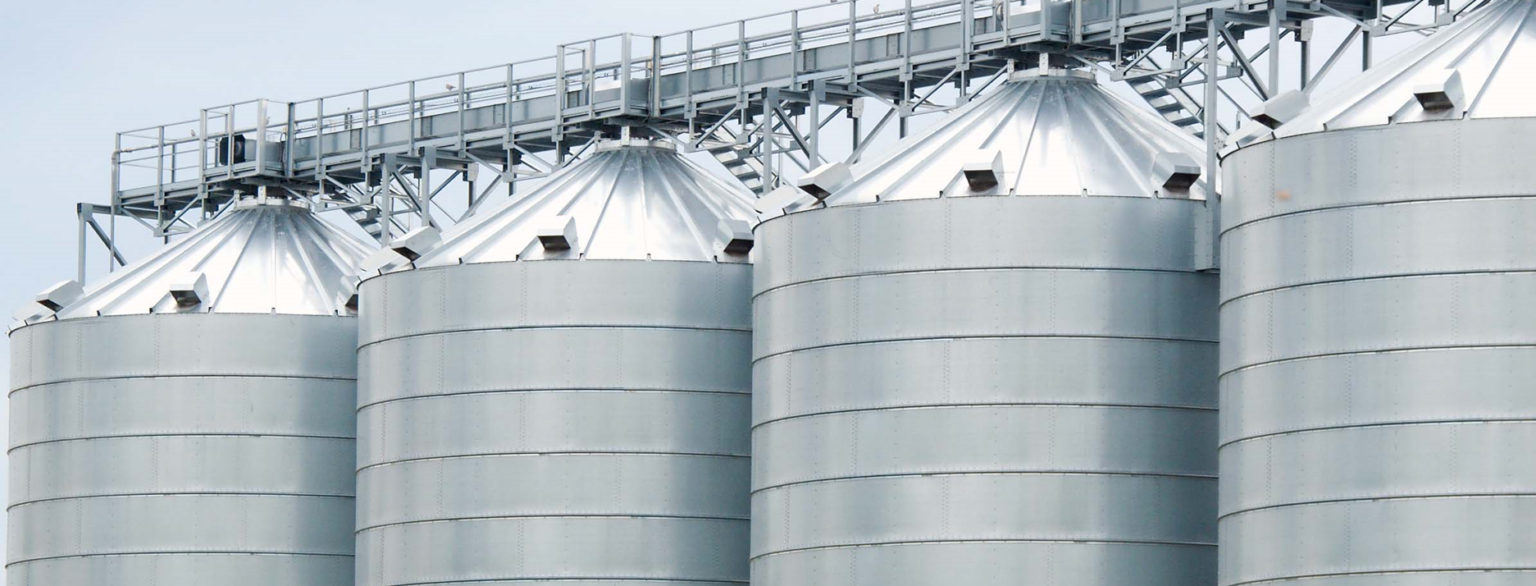 Magnelis: What, Where, Why?